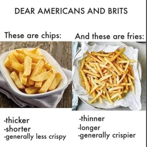 Guide to French Fries types of Burgers sold in Food Shops