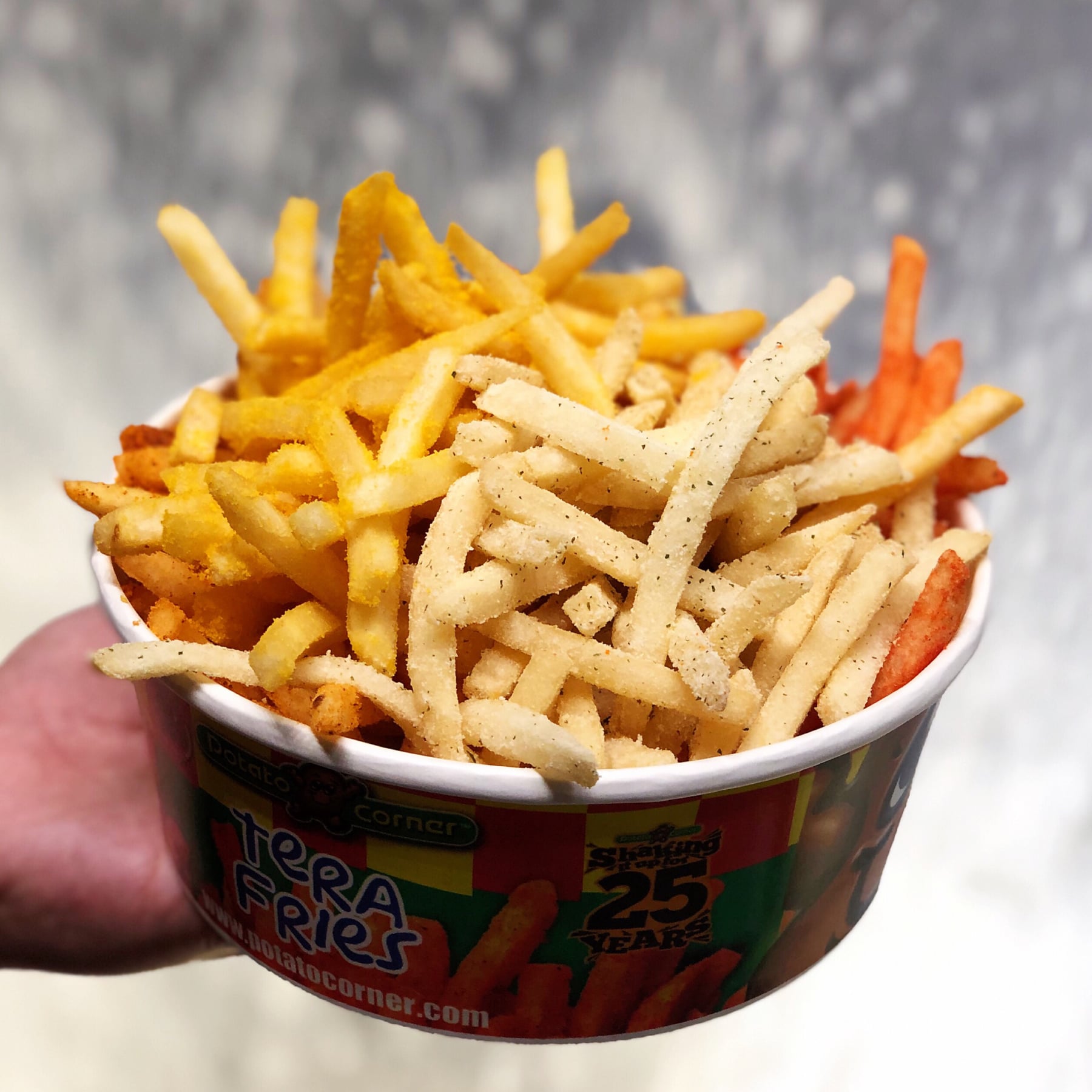 Guide to French Fries types of Burgers sold in Food Shops